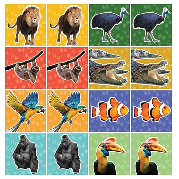 Jiri. Pexeso v sešitu Zoo